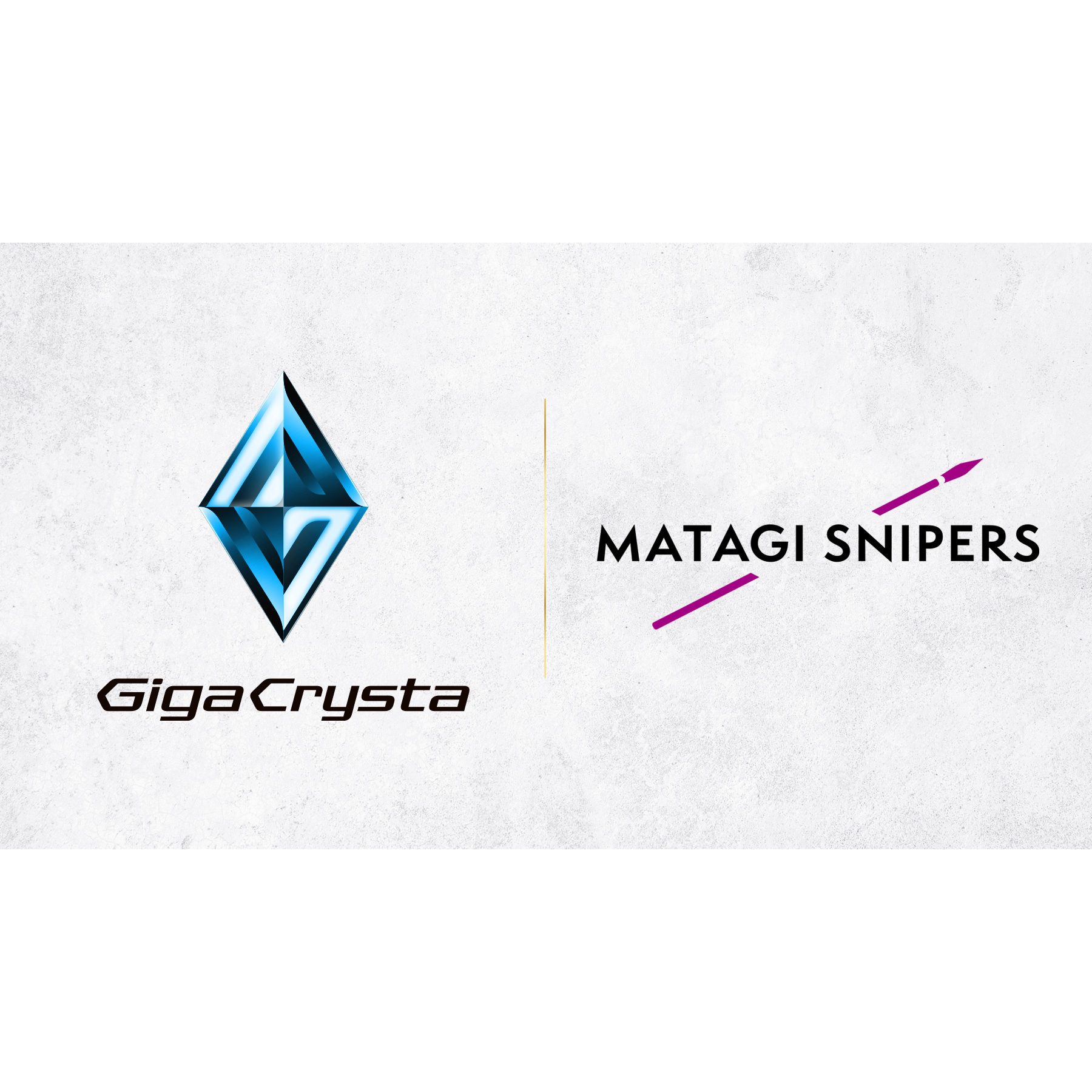 MATAGI SNIPERS / マタギスナイパーズ